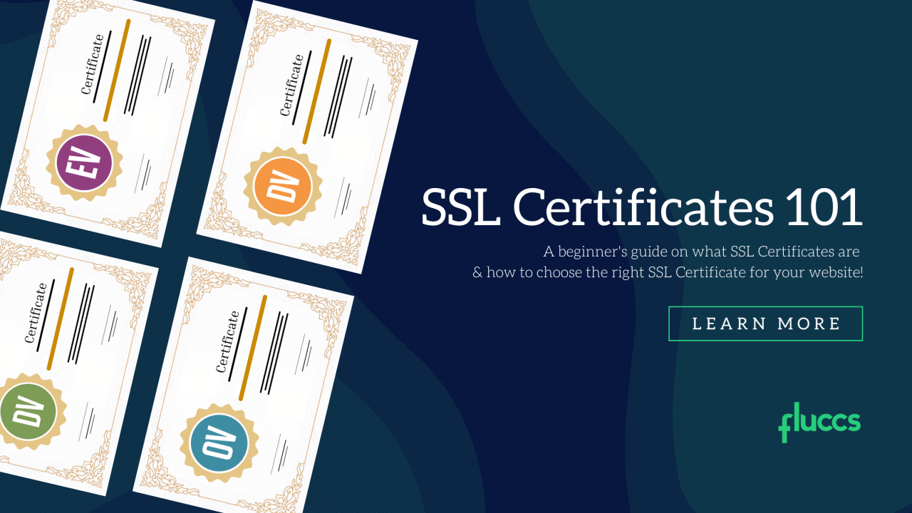 SSL Certificates 101 | Fluccs