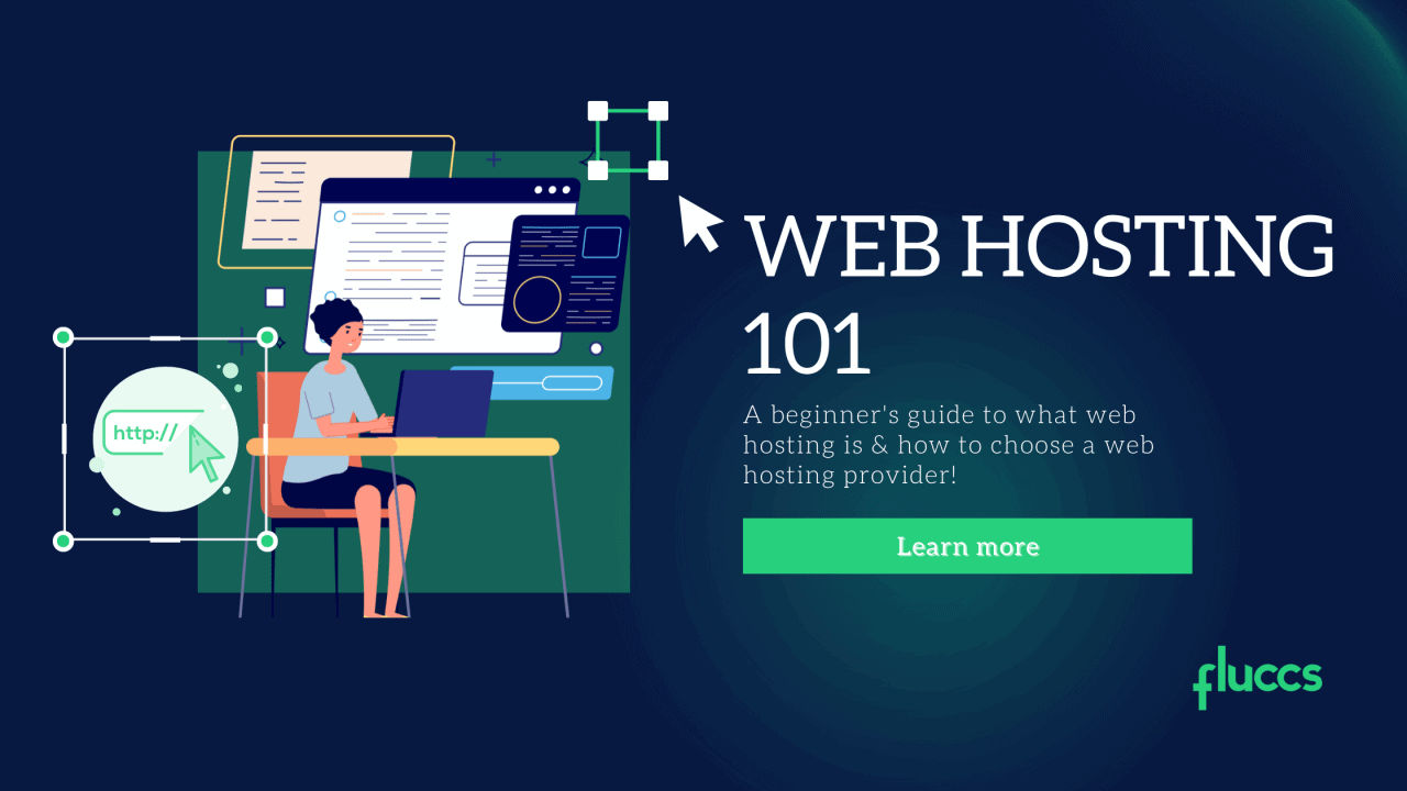 Web Hosting 101 | Fluccs