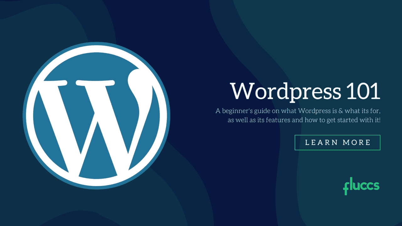 WordPress 101 - Fluccs